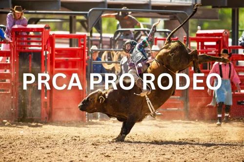 PRCA Pro Rodeo