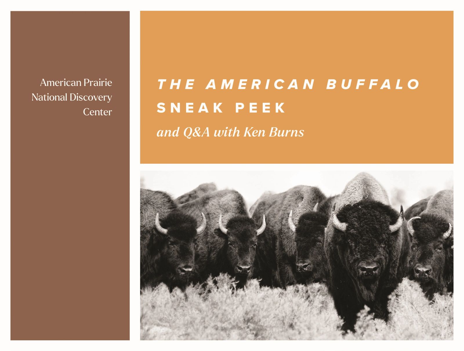 "The American Buffalo" Sneak Peek and Q&A with Ken Burns