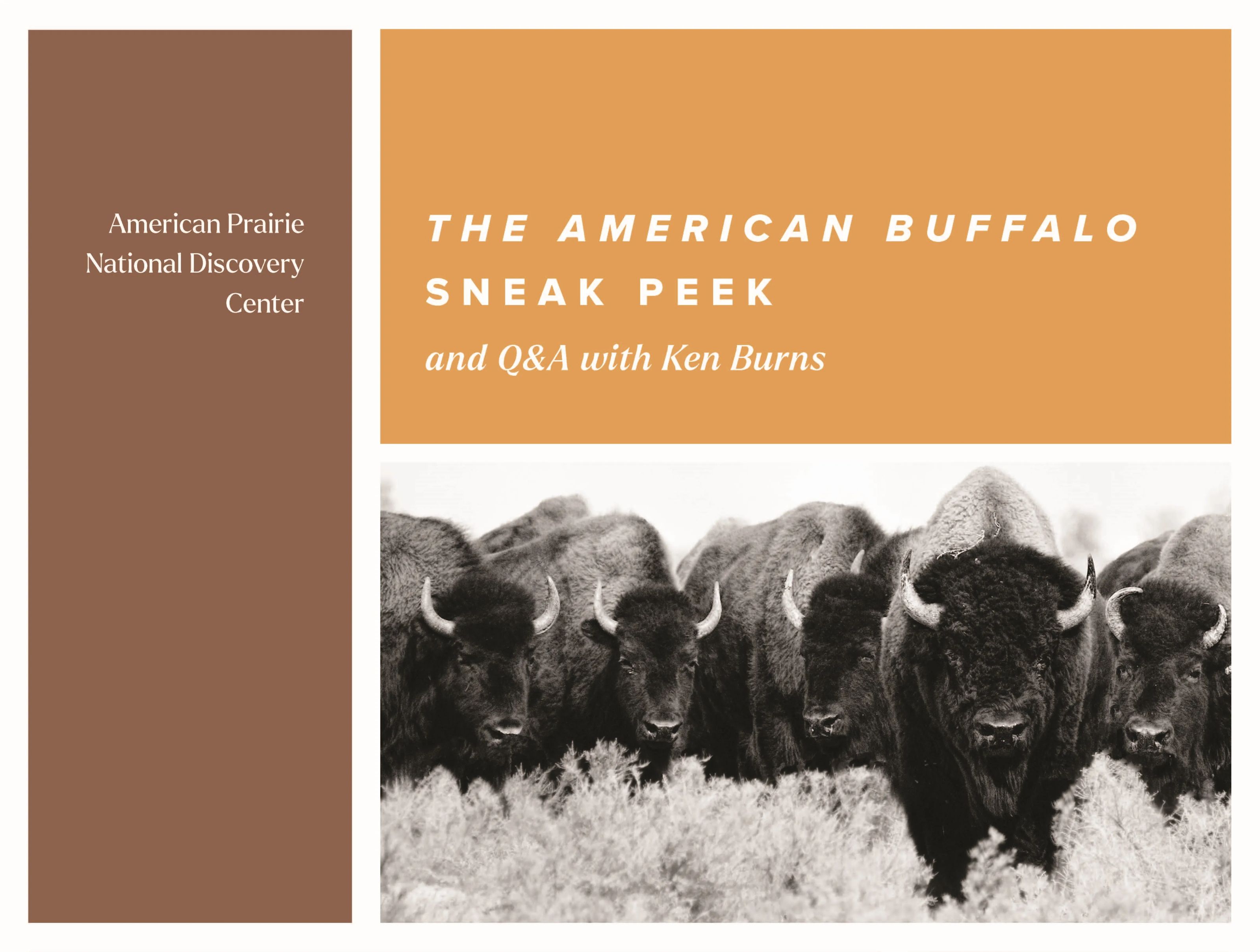 "The American Buffalo" Sneak Peek and Q&A with Ken Burns