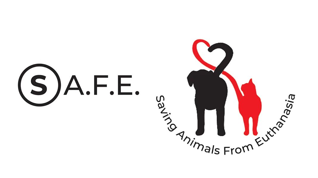 Saving Animals from Euthanasia SAFE