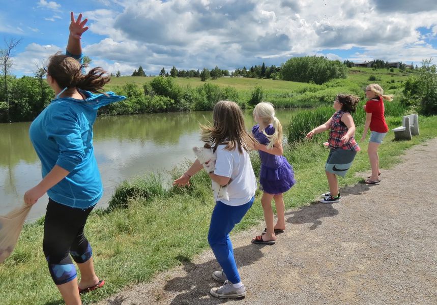 Summer Fun Camp - Nature Rangers