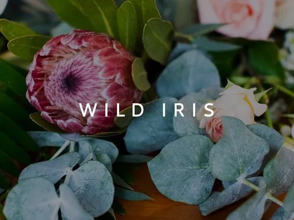 Wild Iris
