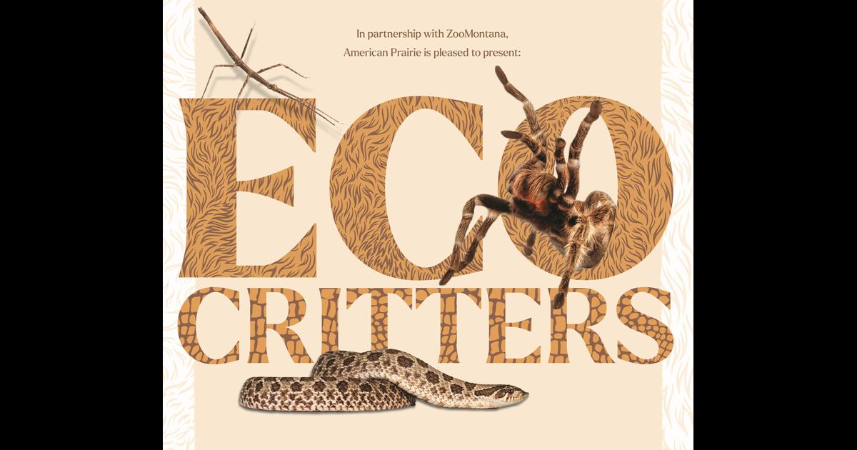ECO-Critters with ZooMontana